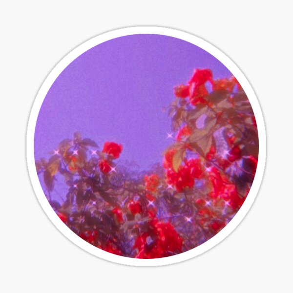 "aesthetically pleasing flowers and trees soft blur ethereal purple ...