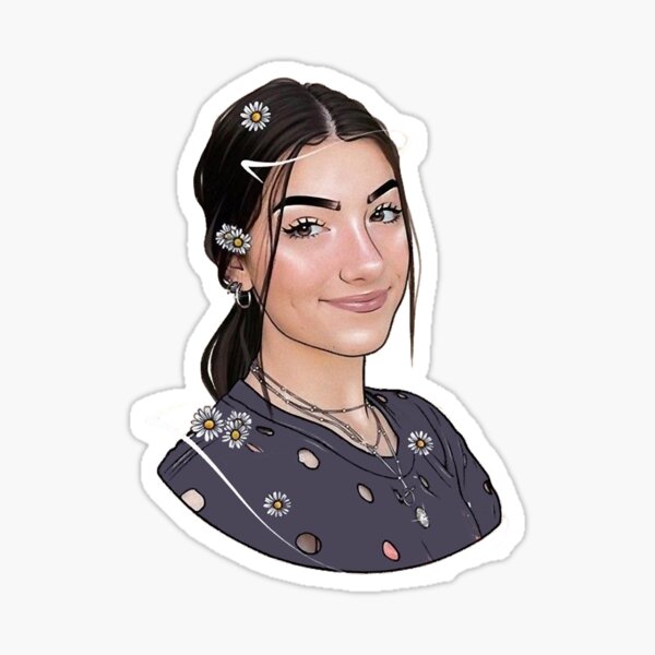 "Charli Leaked " Sticker for Sale by RobertSchnele | Redbubble
