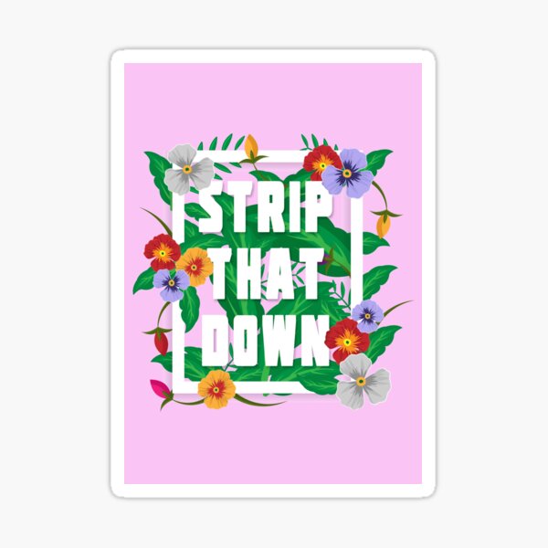 "Strip That Down Liam Payne" Sticker for Sale by natyshop | Redbubble