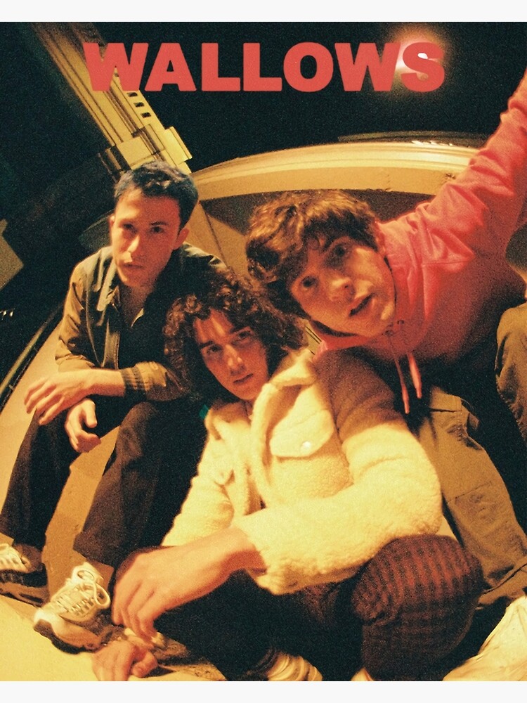 "wallows ok" Poster for Sale by vtlehner | Redbubble