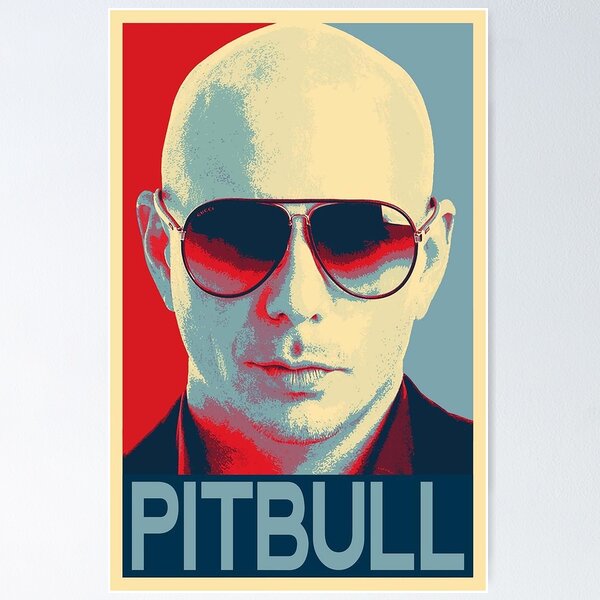Pitbull The Singer Wallpapers