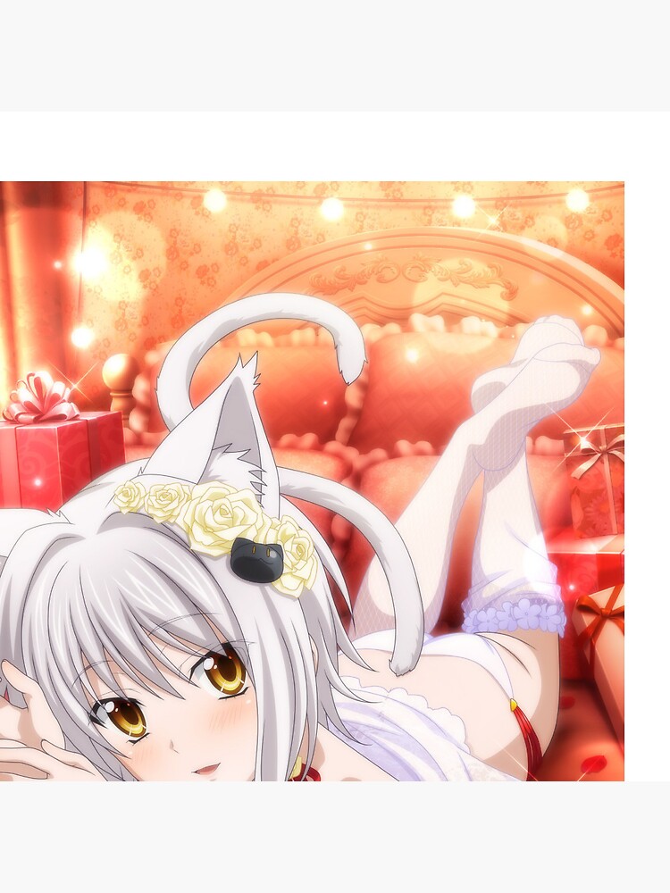 "Cute Toujou Koneko Neko Lewd Boobs Hot Cat Tits (High School DxD Sexy Ecchi Hentai Girl)" Pin ...