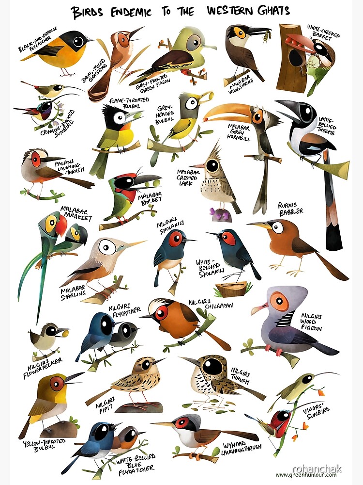 Western Ghats Animals And Birds