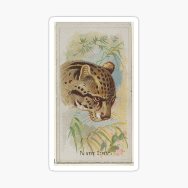 "Painted Ocelot, from the Wild Animals of the World series. " Sticker ...