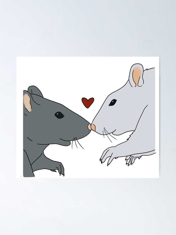 "Rats in love kissing each other" Poster for Sale by HoneyJuls | Redbubble