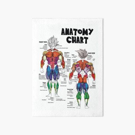"Goku Muscle Chart - Anatomy Diagram - Anime Gym Motivational" Art ...