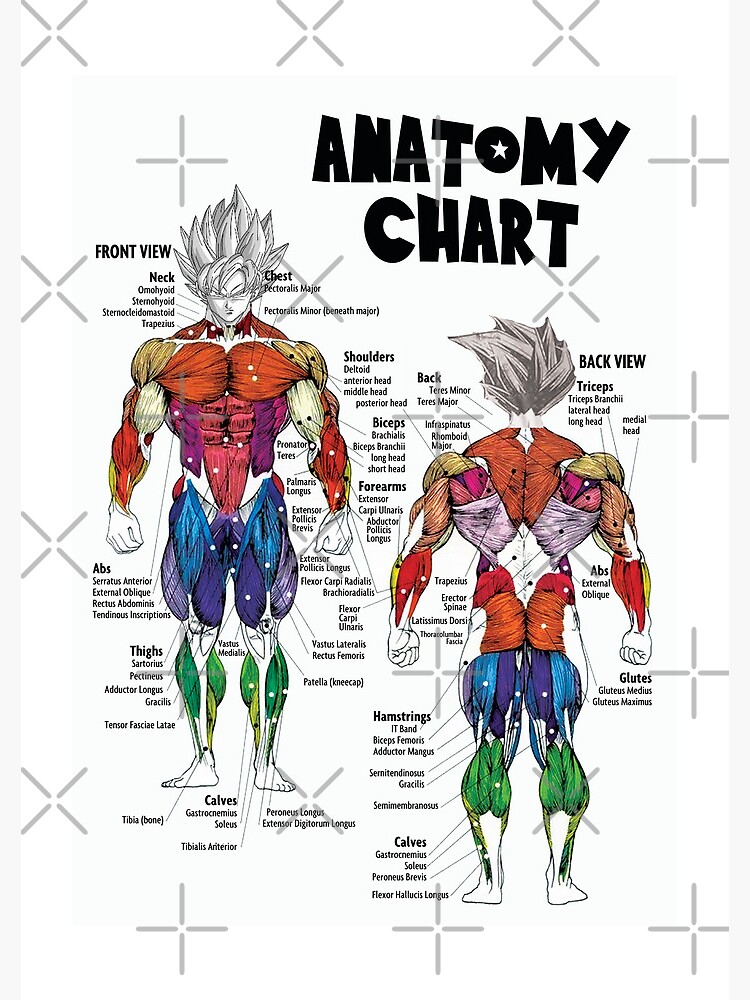 "Goku Muscle Chart - Anatomy Diagram - Anime Gym Motivational" Spiral ...