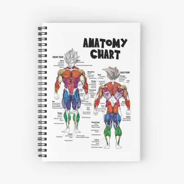 "Goku Muscle Chart - Anatomy Diagram - Anime Gym Motivational" Spiral ...