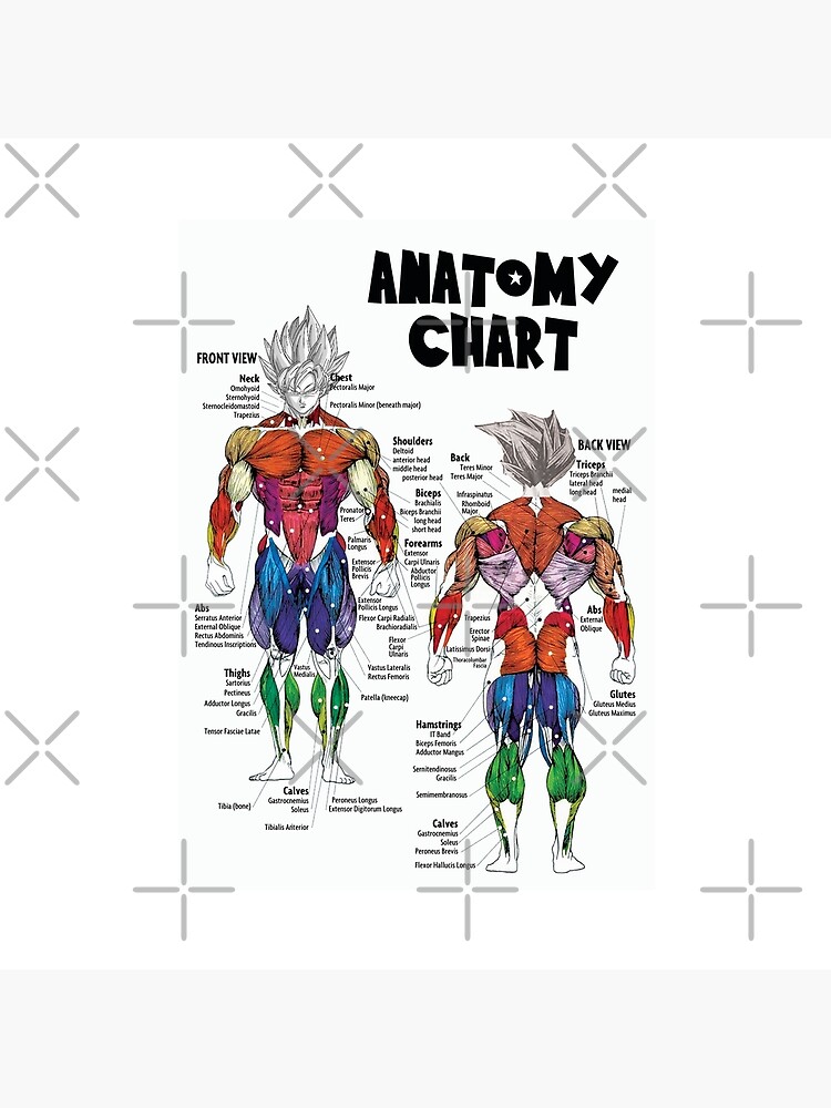 "Goku Muscle Chart - Anatomy Diagram - Anime Gym Motivational" Throw ...