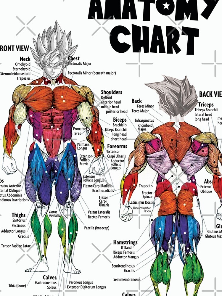 "Goku Muscle Chart - Anatomy Diagram - Anime Gym Motivational" iPhone ...