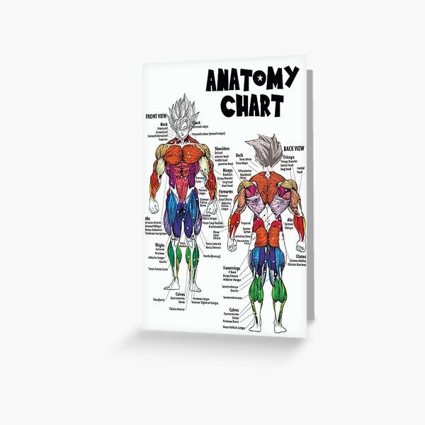 "Goku Muscle Chart - Anatomy Diagram - Anime Gym Motivational" Greeting ...