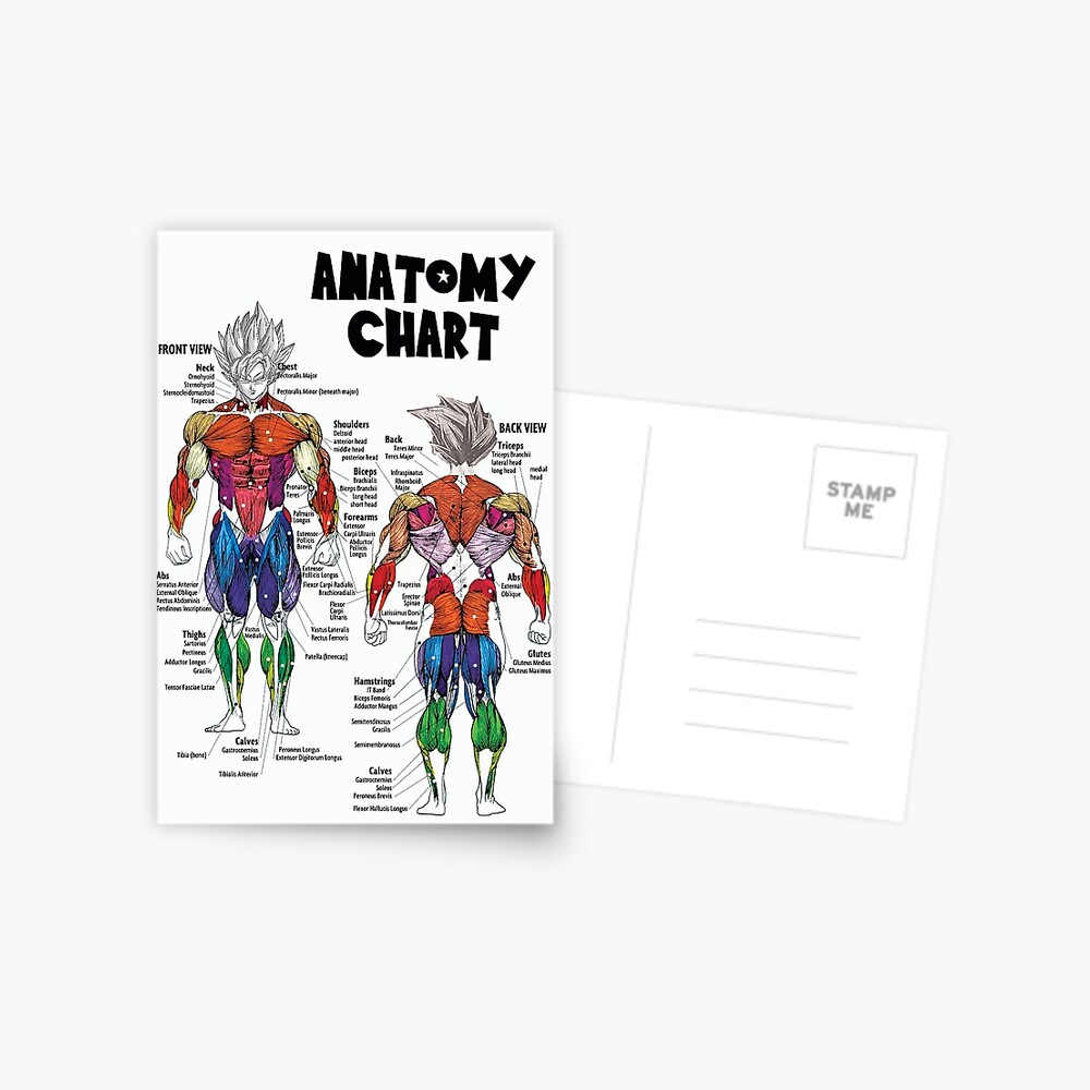 "Goku Muscle Chart - Anatomy Diagram - Anime Gym Motivational" Postcard ...