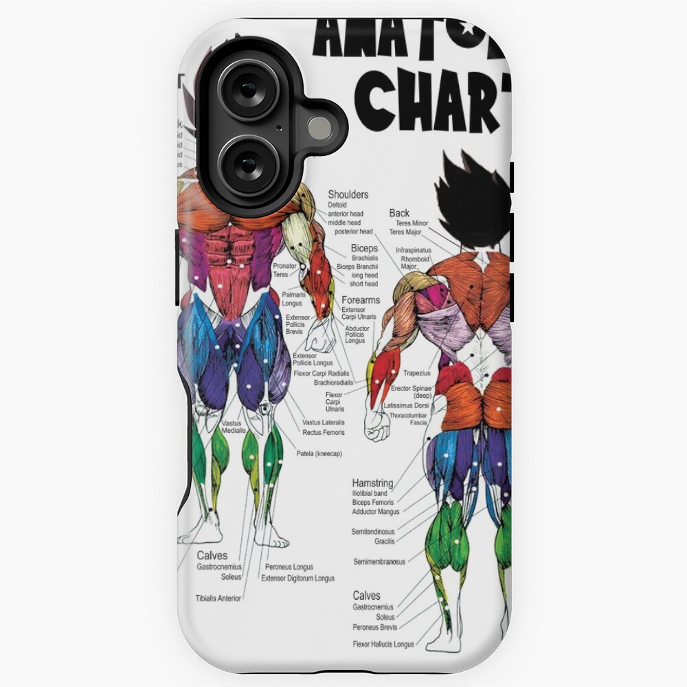 "Vegeta Muscle Chart - Anatomy Diagram - Anime Gym Motivational ...