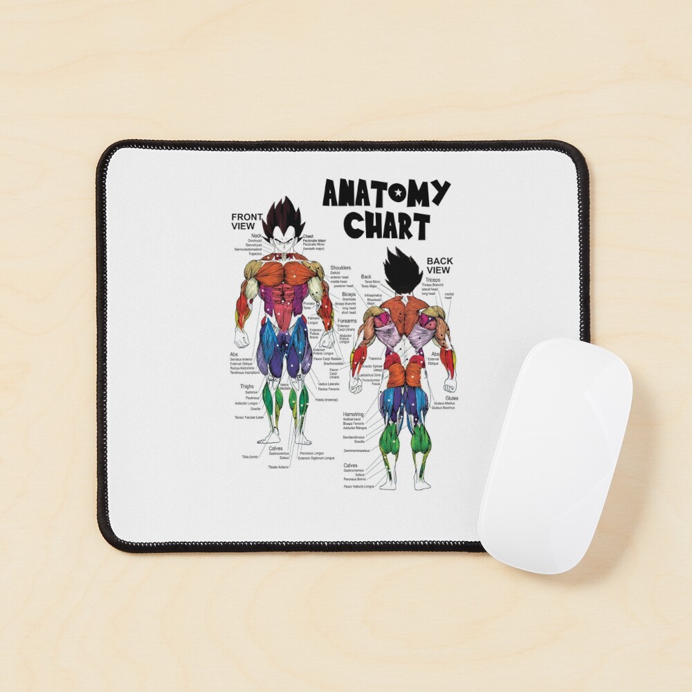 "Vegeta Muscle Chart - Anatomy Diagram - Anime Gym Motivational ...