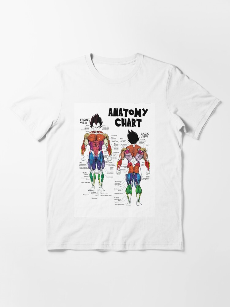 "Vegeta Muscle Chart - Anatomy Diagram - Anime Gym Motivational" T ...