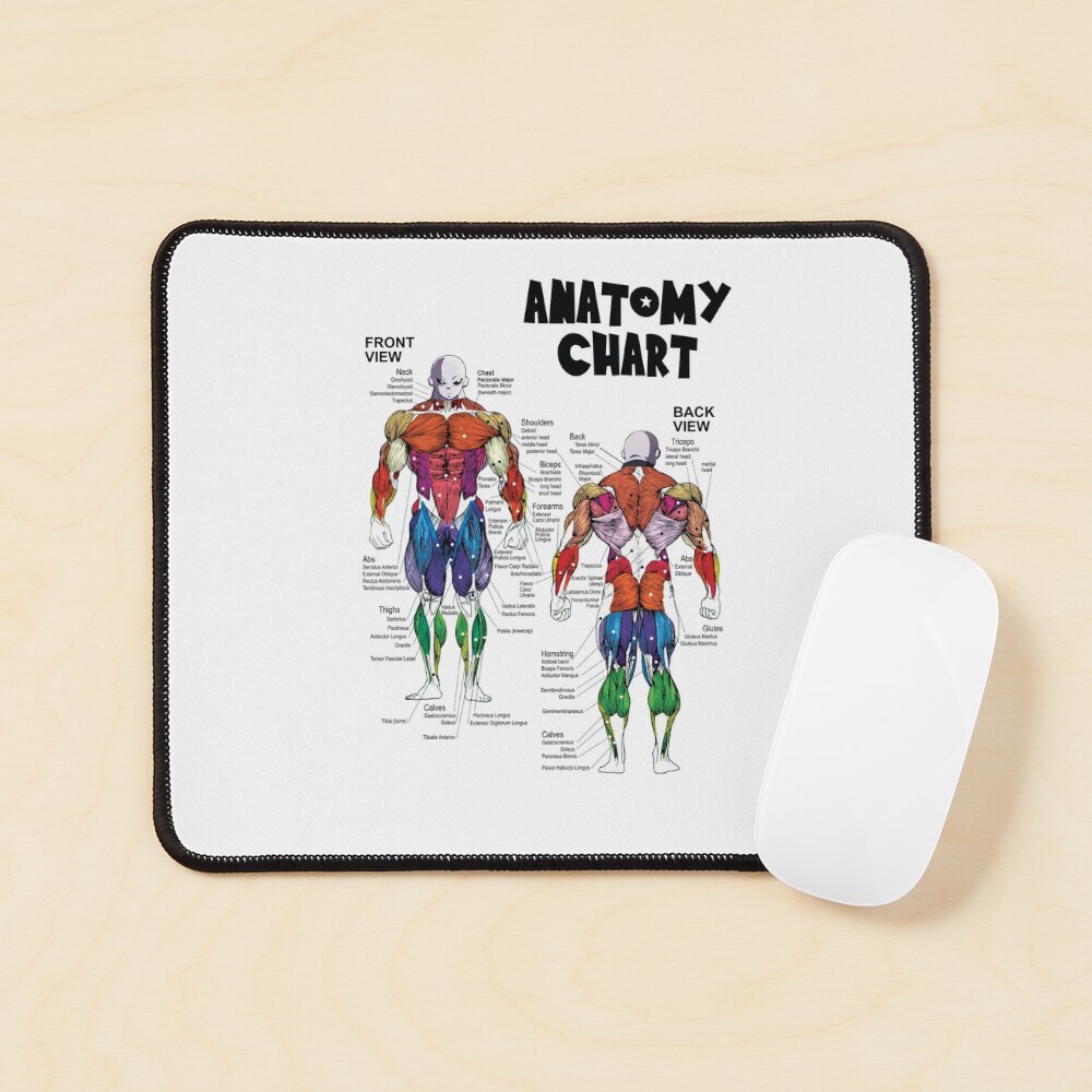 "Jiren Muscle Chart - Anatomy Diagram - Anime Gym Motivational" Poster ...