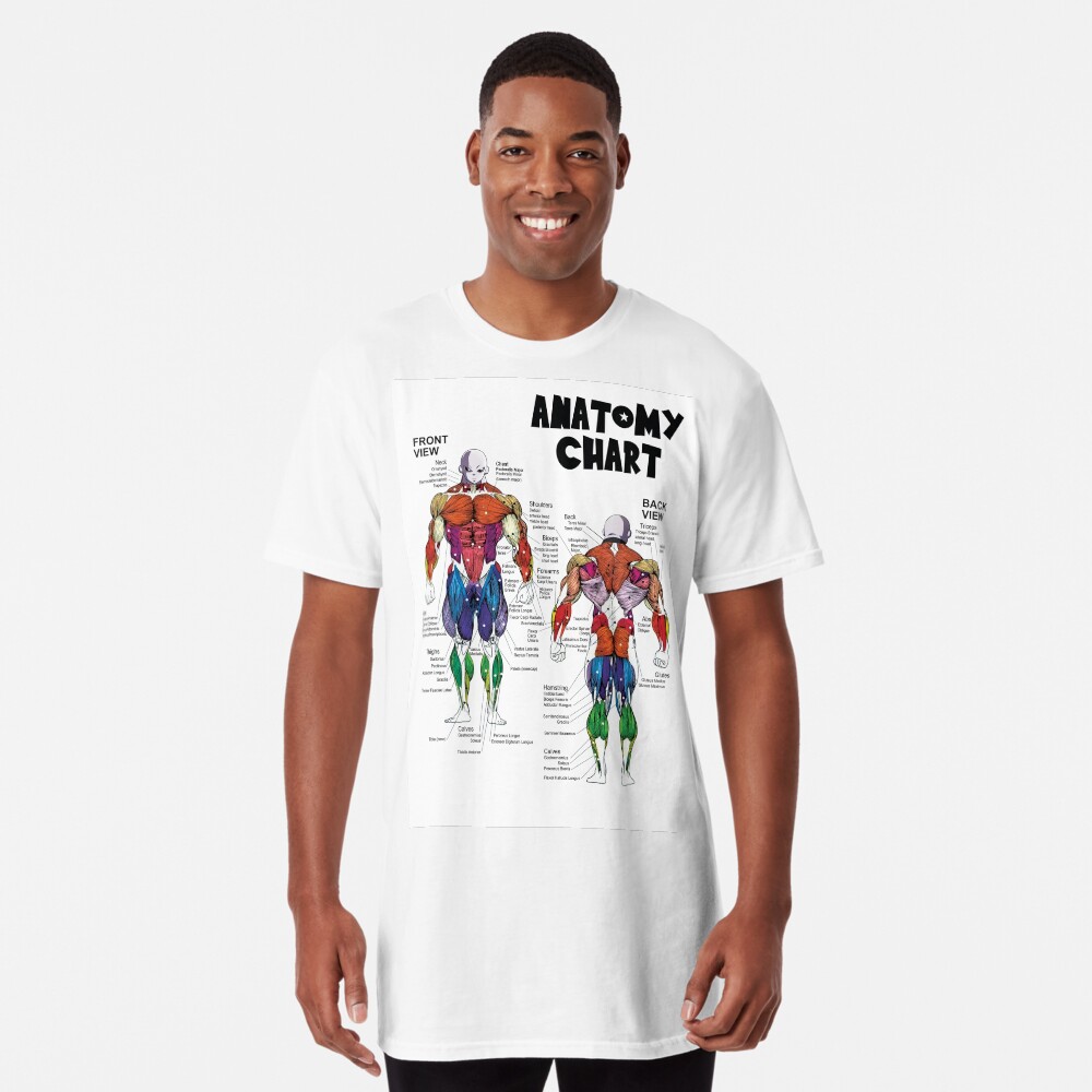 "Jiren Muscle Chart - Anatomy Diagram - Anime Gym Motivational" Poster ...