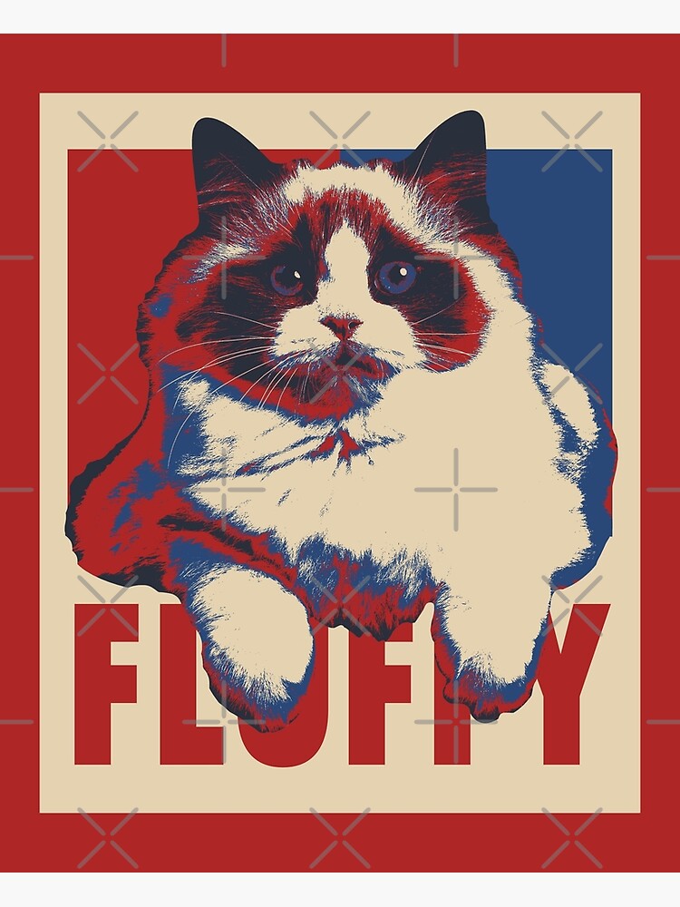 "Fluffy Cat Pop Art Style" Poster for Sale by Sthyouneed | Redbubble