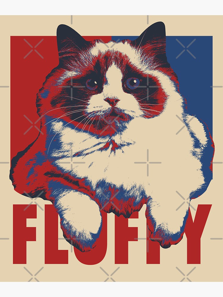 "Fluffy Cat Pop Art Style" Sticker for Sale by Sthyouneed | Redbubble