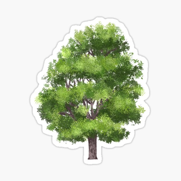 "Black walnut" Sticker for Sale by SilviPavlova | Redbubble