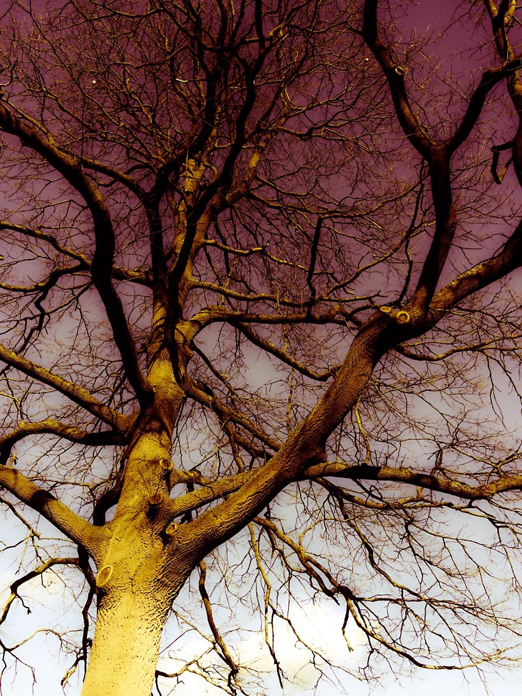 "Tree Branching Out" Sticker for Sale by JessieSWilliams | Redbubble