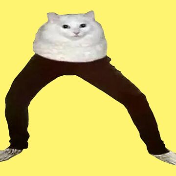 "Cat meme" Poster for Sale by tttatia | Redbubble