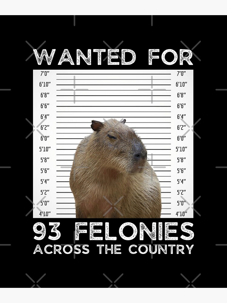 "Capybara Wanted Poster Capy Meme Lover" Poster for Sale by ...