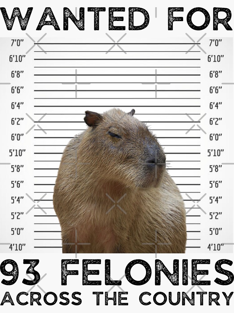 "Capybara Wanted Poster Capy Meme Lover" Sticker for Sale by ...