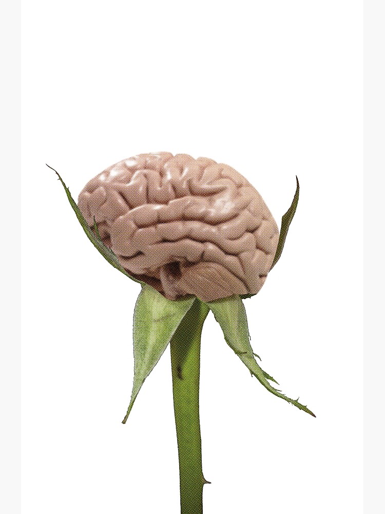 "Brain in rose-" Poster for Sale by KacDesign | Redbubble