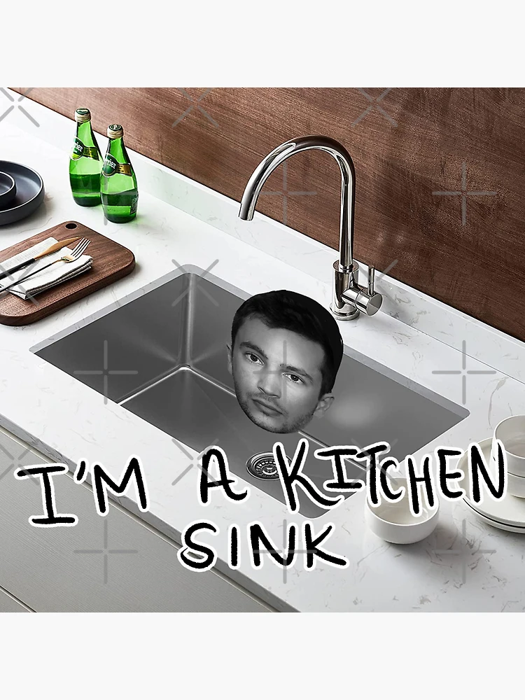 Everything But The Kitchen Sink Meme