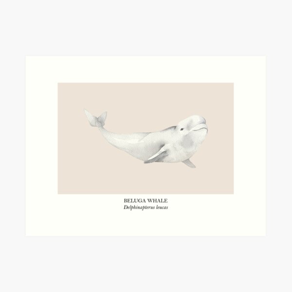 "Beluga Whale | Sand Beige | Watercolour Sea Creature" Art Print for ...