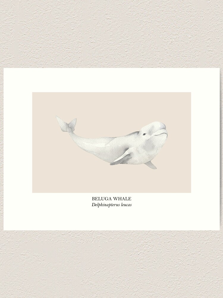 "Beluga Whale | Sand Beige | Watercolour Sea Creature" Art Print for ...