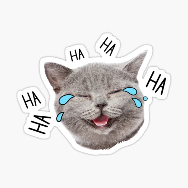 "Cat Memes" Sticker for Sale by Hshop01 | Redbubble