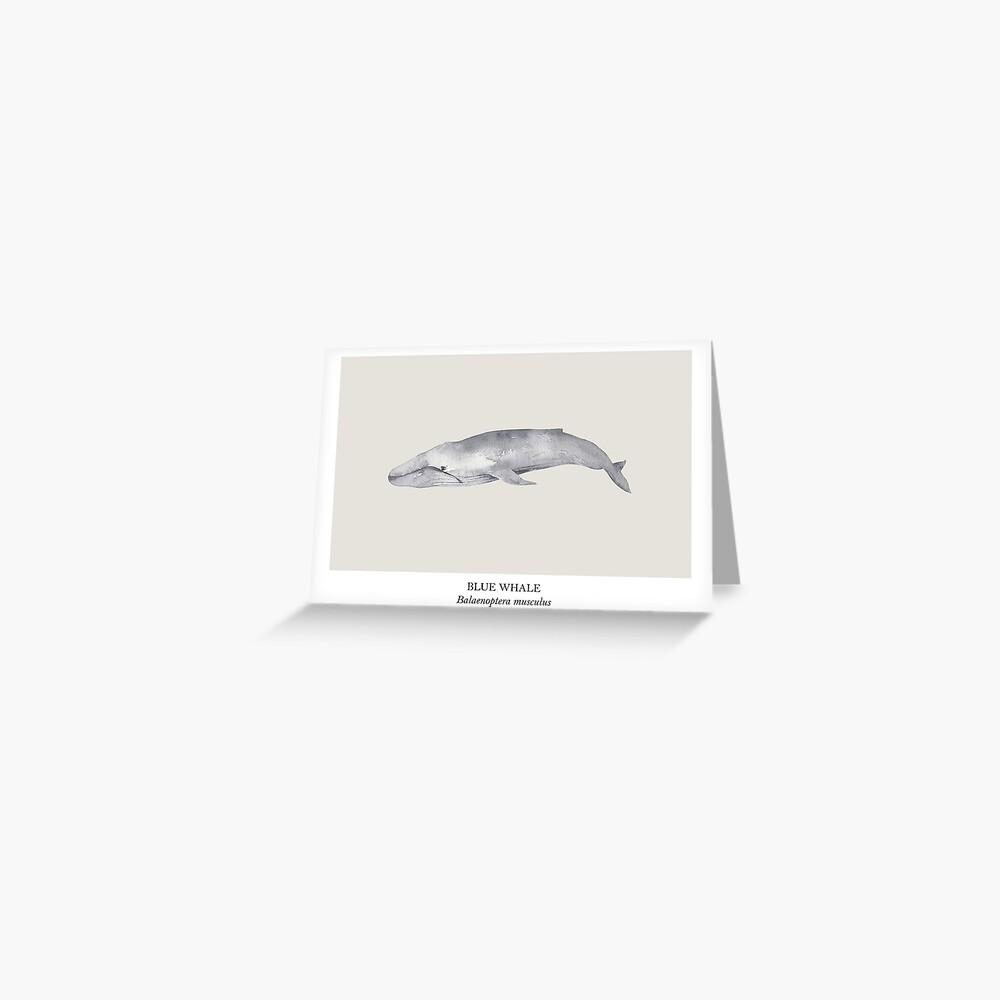 "Blue Whale | Linen Beige | Watercolour Sea Creature" Greeting Card for ...