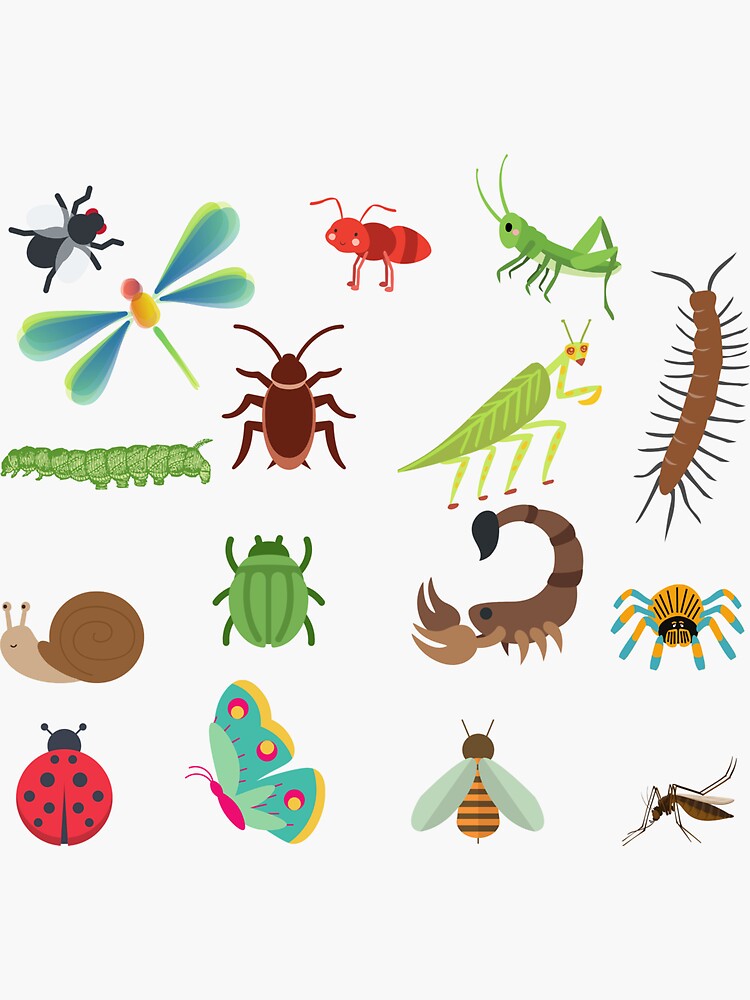 Pegatina «niños bichos e insectos» de craftgiraffe | Redbubble