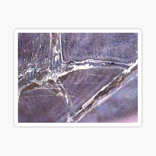 "Smashed" Sticker for Sale by KathieNichols | Redbubble