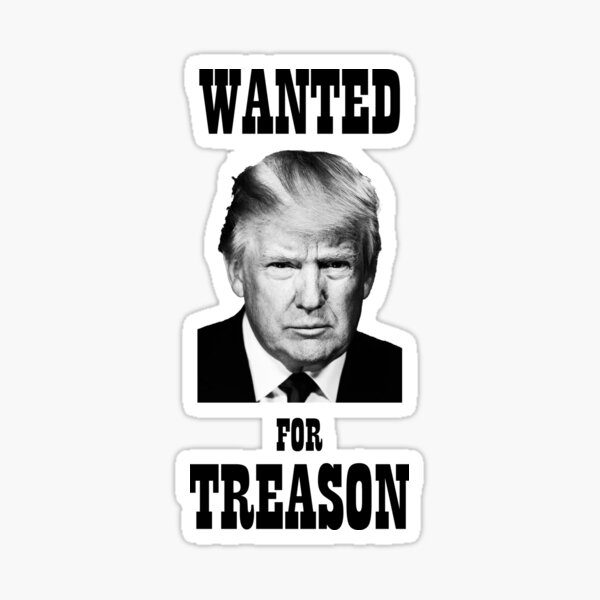 "Donald Trump Wanted for Treason" Sticker for Sale by judgeart | Redbubble