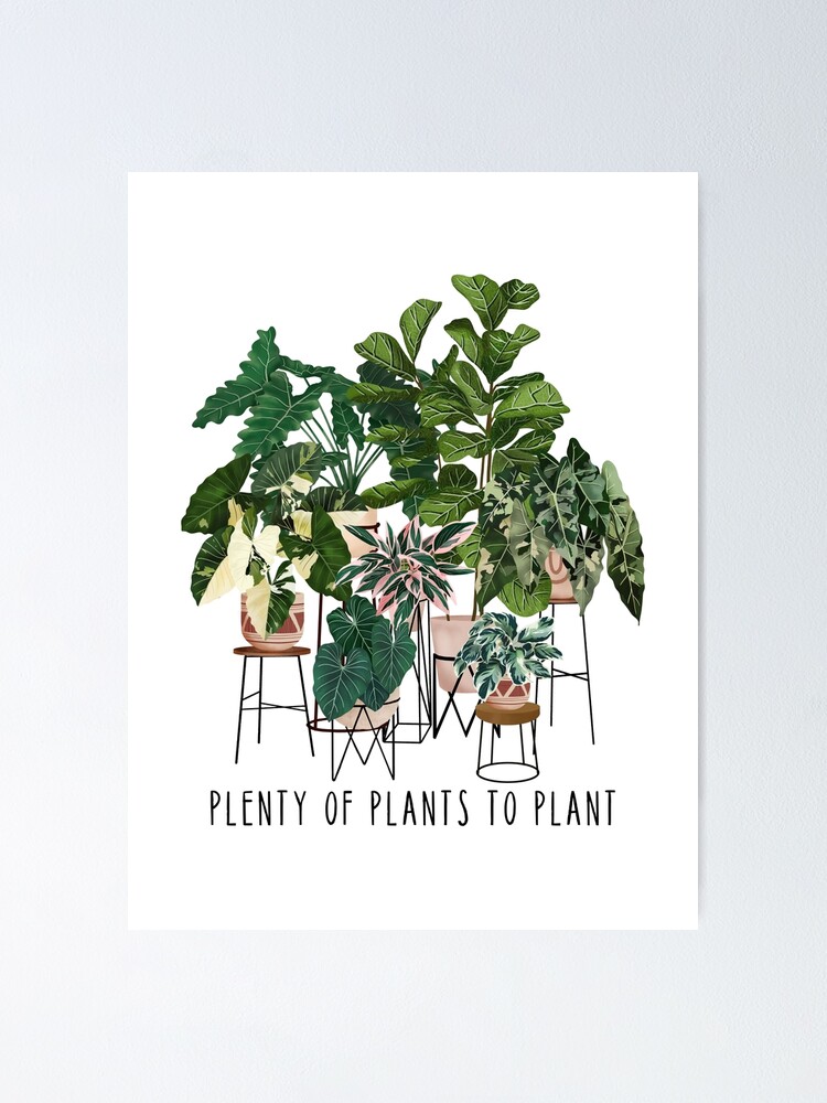 "Plenty Of Plants To Plant Quote, House Plants Collection Illustration ...