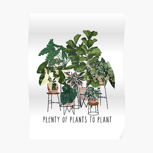 "Plenty Of Plants To Plant Quote, House Plants Collection Illustration ...