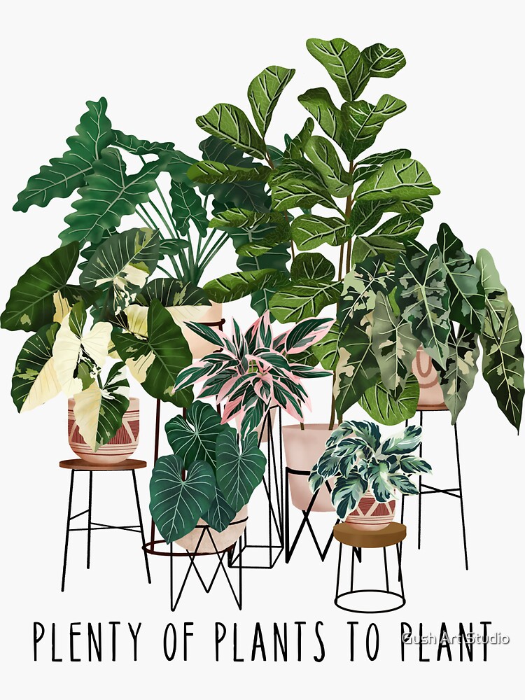 "Plenty Of Plants To Plant Quote, House Plants Collection Illustration ...
