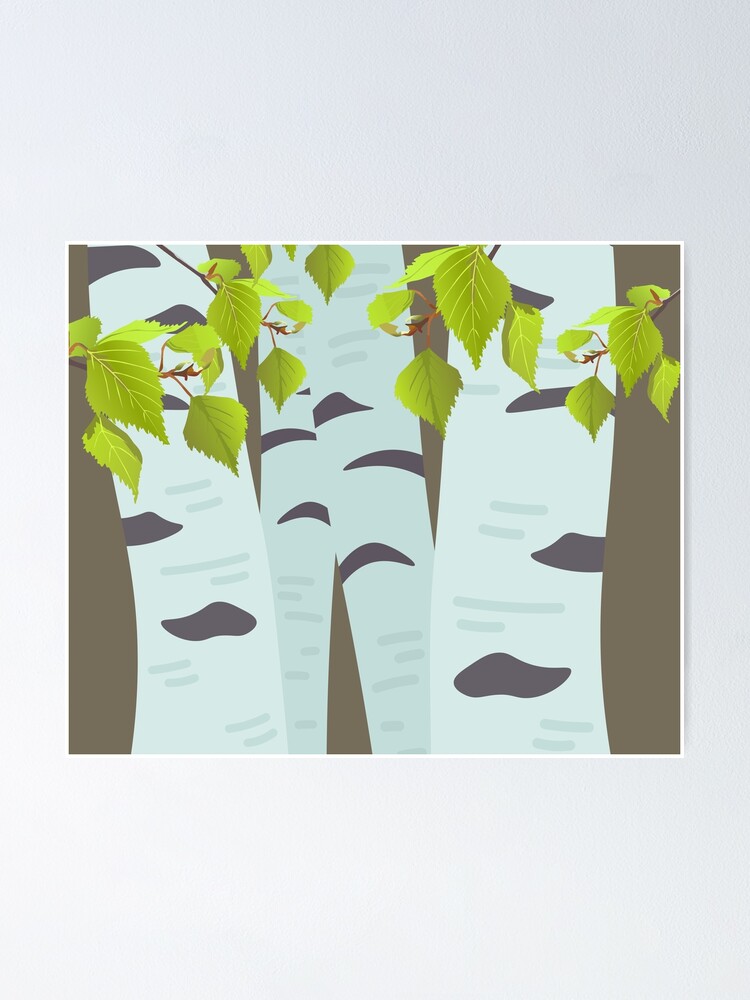 "Birch tree" Poster for Sale by PrimulaVeris | Redbubble