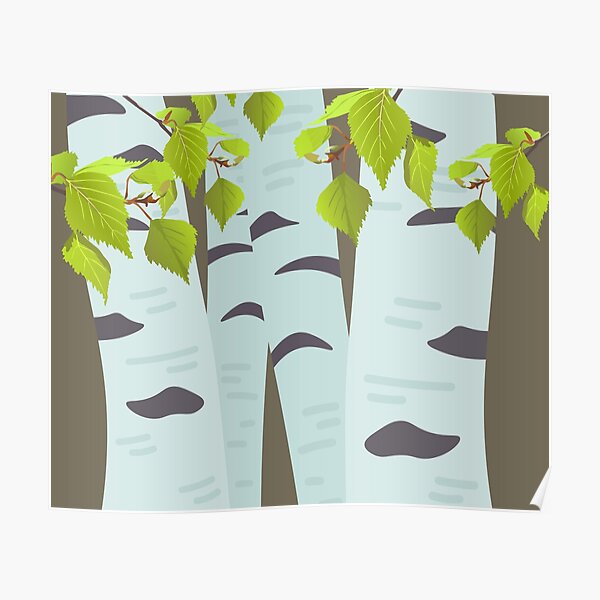 "Birch tree" Poster for Sale by PrimulaVeris | Redbubble