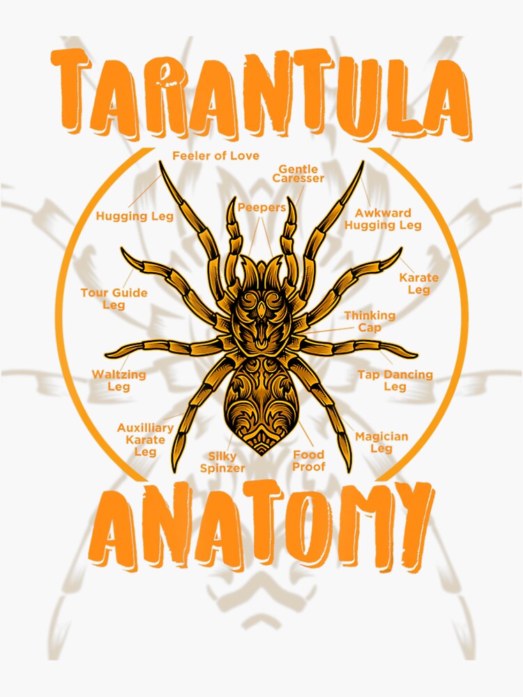 "Tarantula Anatomy" Sticker for Sale by HockChai | Redbubble
