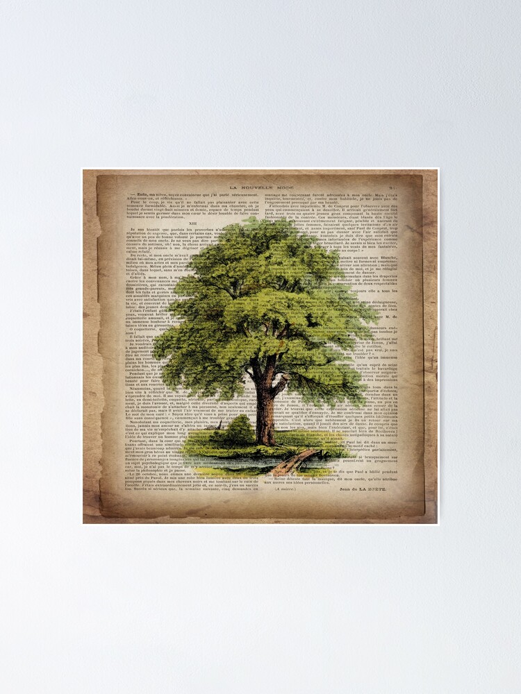 "hippie hipster fashion botanical art vintage oak tree" Poster for Sale ...