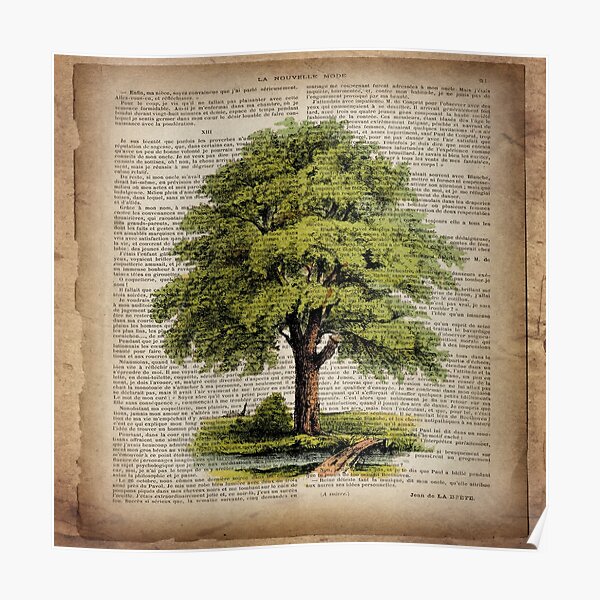 "hippie hipster fashion botanical art vintage oak tree" Poster for Sale ...