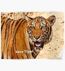 Save Tiger Posters | Redbubble