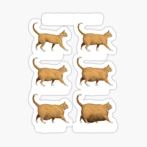 "Feline Chonk Cat Chart, Funny Dank Meme, Oh Lawd He Comin " Sticker ...