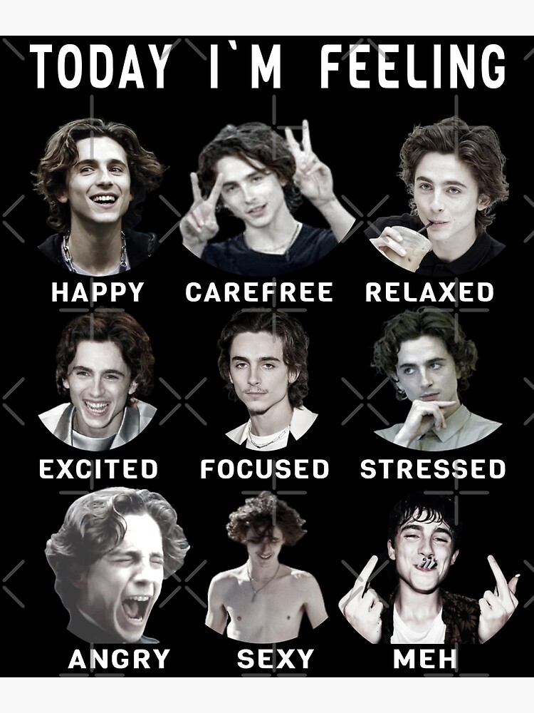 Timothee Chalamet Funny Feelings Poster For Sale By Pafdesign Redbubble