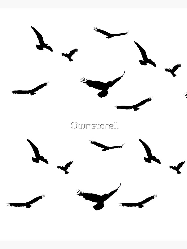 "Birds shadow" Sticker for Sale by Ownstore1 | Redbubble
