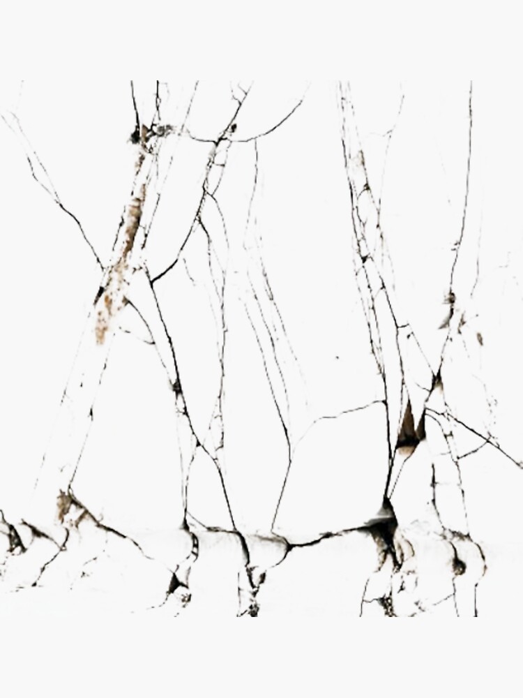 "broken glass prank 4" Sticker for Sale by SohaibHania | Redbubble